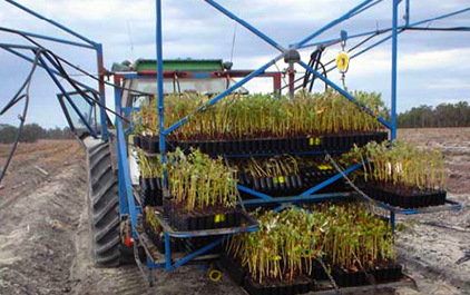 Polymer Innovations - WATER$AVE PLANTATION