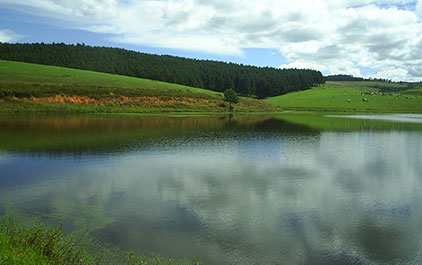 Polymer Innovations - WATER$AVE PLUG